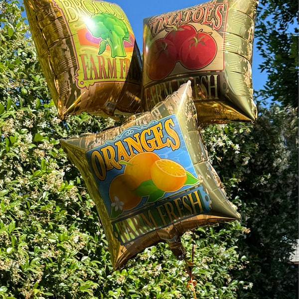 Farm Stand Balloon, Farm Stand Themed Party Decorations, Farmers Market ...