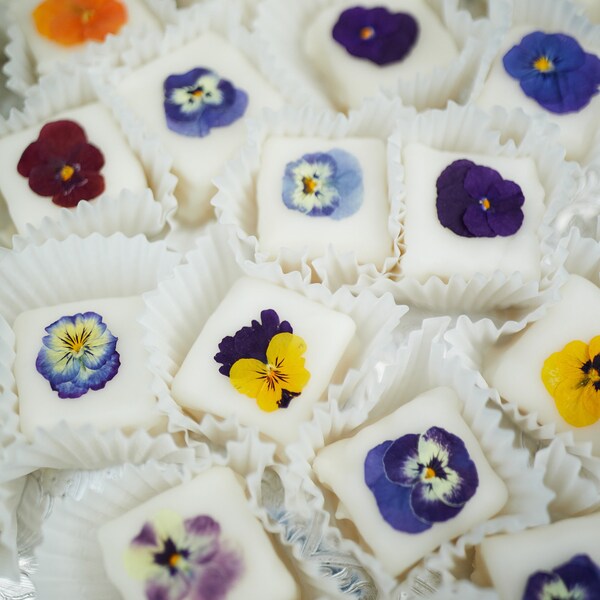 REAL Pressed Flower Skull Art 8x10 Botanical Art Floral Decor ...