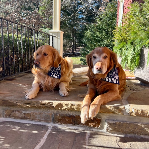Penn State Dog Bandana: Personalized PSU Design - Etsy