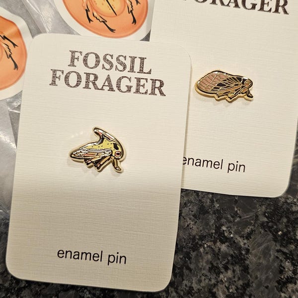 Number 1 Bug Enthusiast Iron-on Patch / Entomologist / Entomology / Insect Patch / Embroidered ...