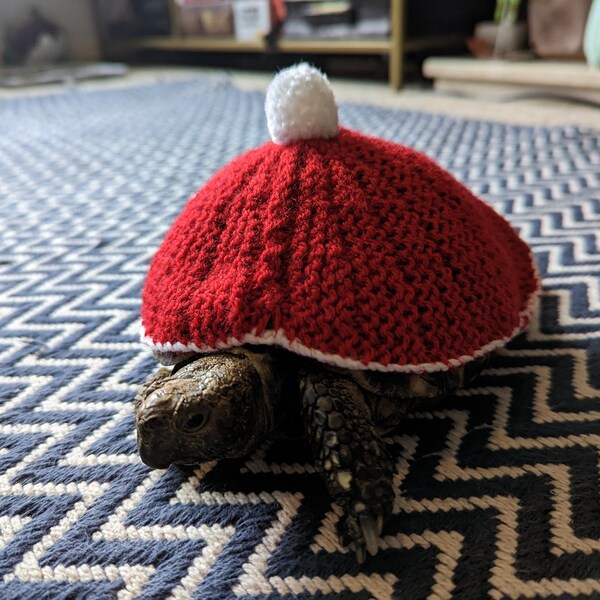Dinosaur Tortoise Cosy, Pet Photo Prop, Pet Costume, Tortoise Costume ...