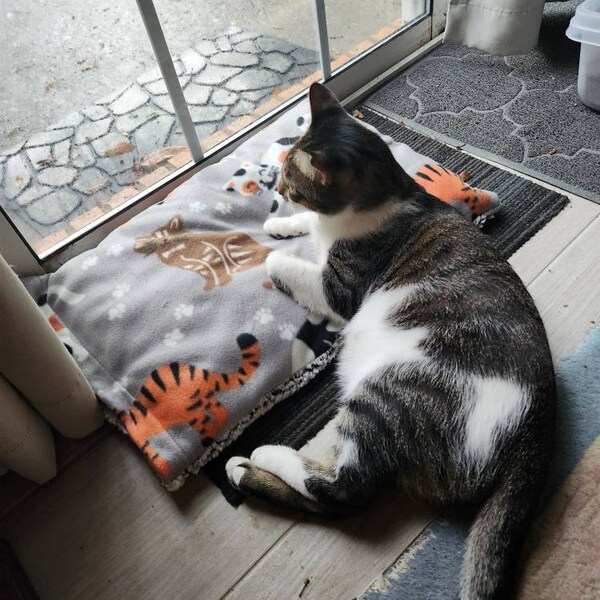 Window Sill Cat Pad/ 8 Sill Pad - Etsy