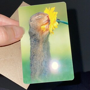 Personalised Photo & Message Plastic Card Keepsake - Etsy