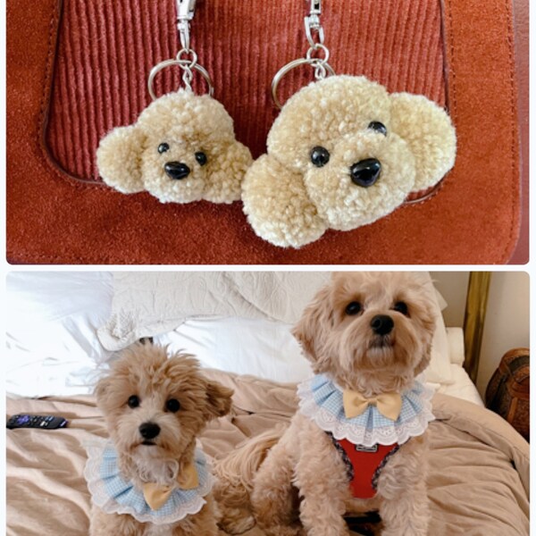 Dog Party Charming Toy Poodle Pom Poms, Keychain, With 16 Colors to ...