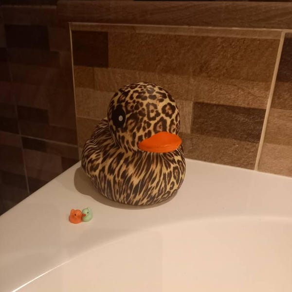 Bright Mini Neon Themed Rubber Duck Ducks - Green Orange Pink ...