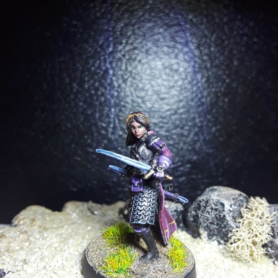 Commission Custom Tabletop Miniature Painting - Etsy
