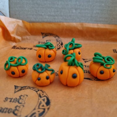 Real Mole Bone Displays. Bone Display. Mounted Mole Bones. - Etsy UK