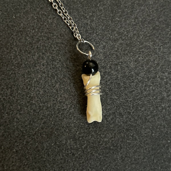 Real Bone Coyote Toe Necklace, Taxidermy Jewelry, Whimsigoth Necklace ...