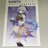 Raiden Mei Shadow Dash Honkai Impact 3rd Anime Art Print Poster ...