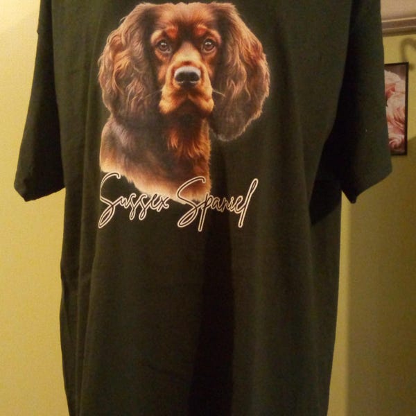 DMC Color Charts With 456 Colors and RGB Codes Digital Download ...