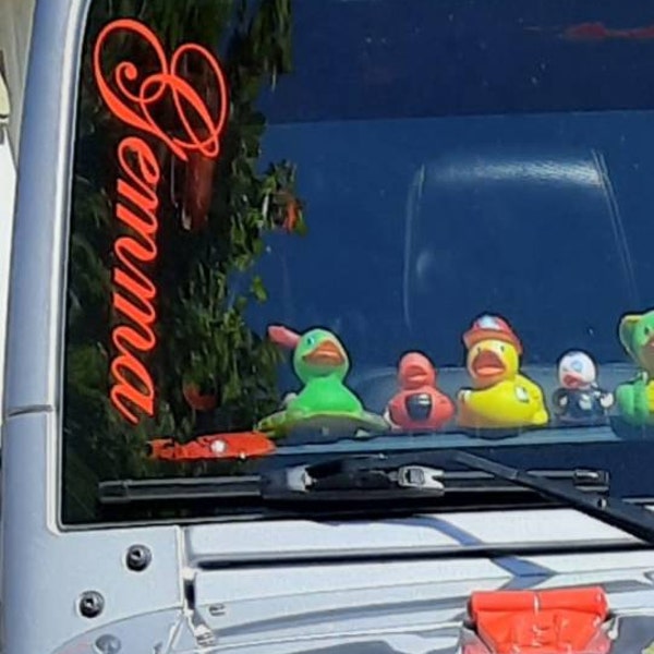 CUSTOM TEXT Script VERTICAL Windshield Vinyl Side Decal Sticker Car ...