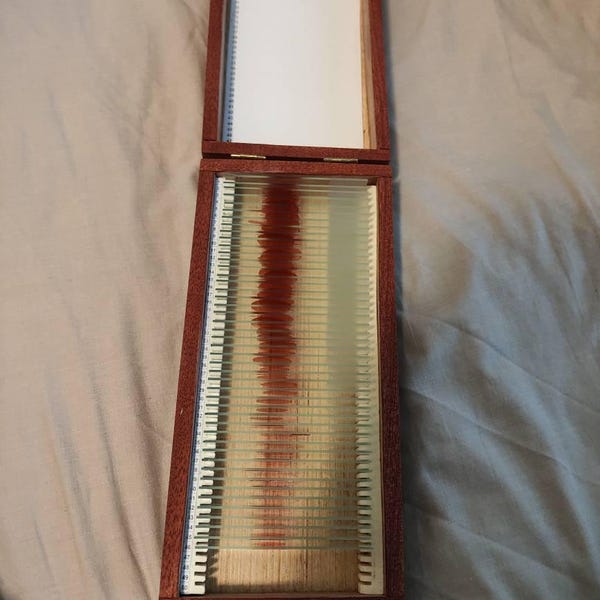 Dexter Blood Slide Box Mahogany - Etsy
