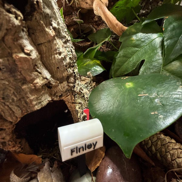 Reptile Climbing Ramp, Bearded Dragon Basking Platform, Rock Wall ...