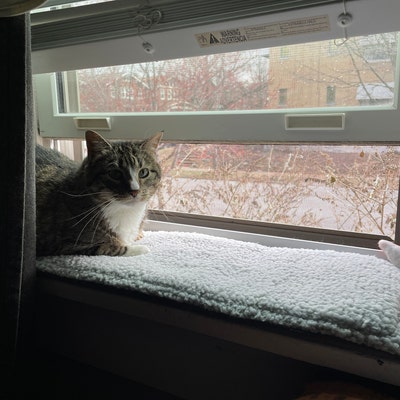 Window Sill Cat Pad/ 8 Sill Pad - Etsy