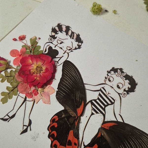 Genuine Giant Wasp Male/female (megascolia Velutina Ducalis) A1 ...