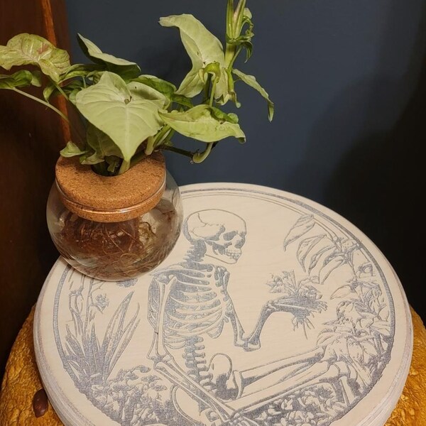 Lotus Flower, Wall Mount, Wall Shelf, Wall Hanger, Small Shelf, Plant ...