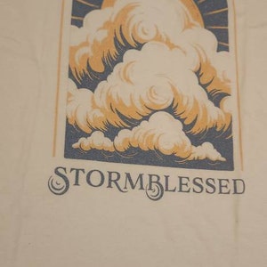 Stormlight Archive Shirt, Kaladin Stormblessed Shirt, Brandon Sanderson ...
