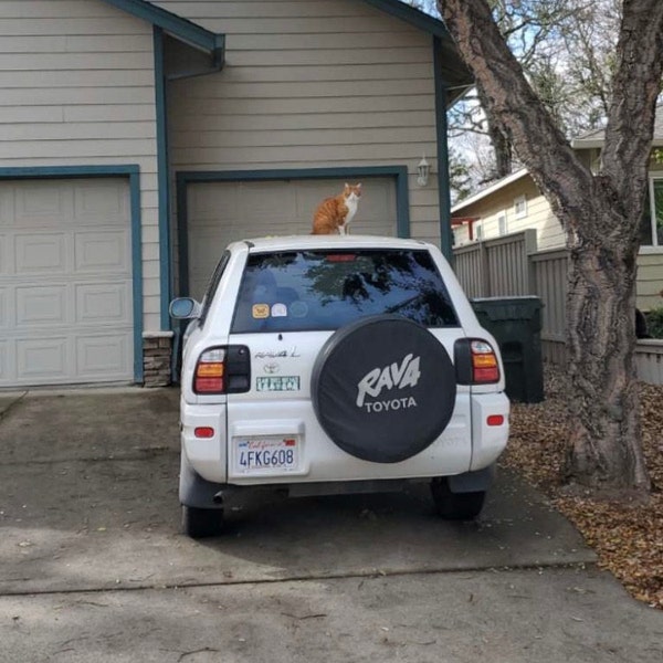 Bumper Stickers - Make A Statement With Our Nature Inspired Bumper ...