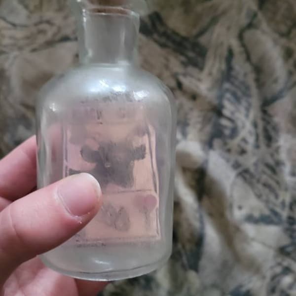 INSCRYPTION Necklace Card in a Bottle Squirrel Black Goat Boulder ...