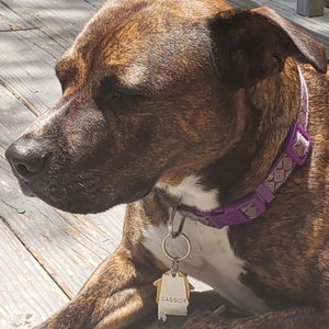 Ohio State Pet Tag choose any state Handmade Dog or Cat ID | Etsy