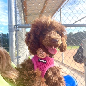 Reindeer Dog Collar Embellishment Christmas Dog Collar - Etsy