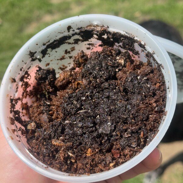 DIY 3-bucket Worm Bin Plans – Easy Composting System – Digital Download ...