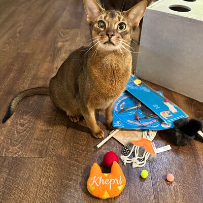 Mitten CAT Toy, Custom Personalized Cat Toy Handmade Cat Kitty Cat Gift ...