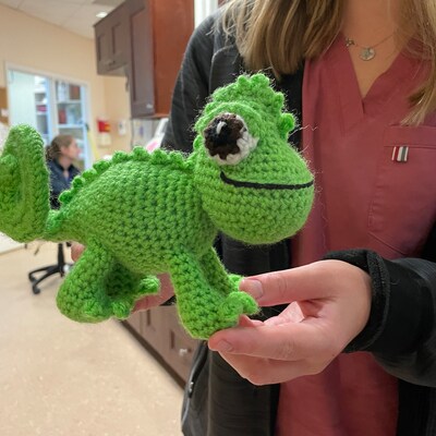 Pascal Chameleon Crochet Pattern - Etsy