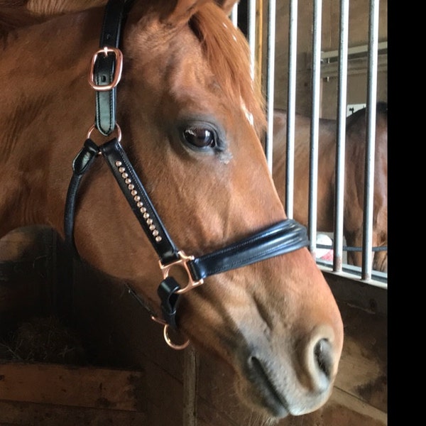 Leather Halter Rose Gold, Black Head Collar Horse, Show Halter Rose ...