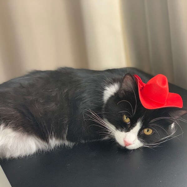Red Cowboy Cat Hat for Your Cat - Etsy