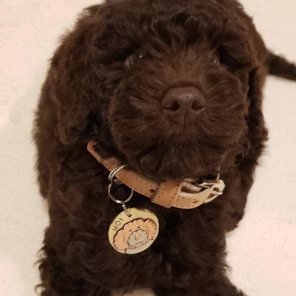 Doodle Dog Tag - Large Dog ID Tag -personalized Goldendoodle or ...