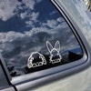 Rabbit Sticker Peeking Bunny Car Decal, Rabbit Laptop Decal, Bunny ...