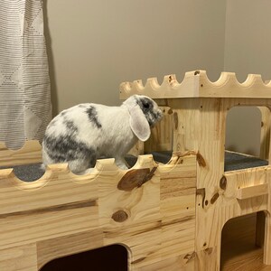 Rabbit Castle Tower ramp sold separately | Etsy