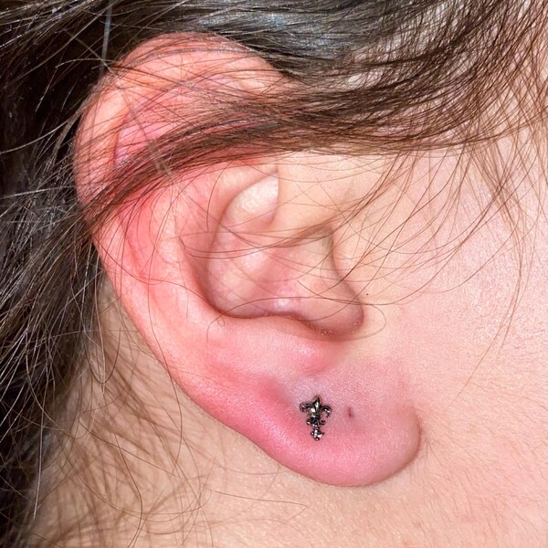 16g Teardrop Medusa Ring Lippy Loop Labret Surgical Steel Lip Ring ...