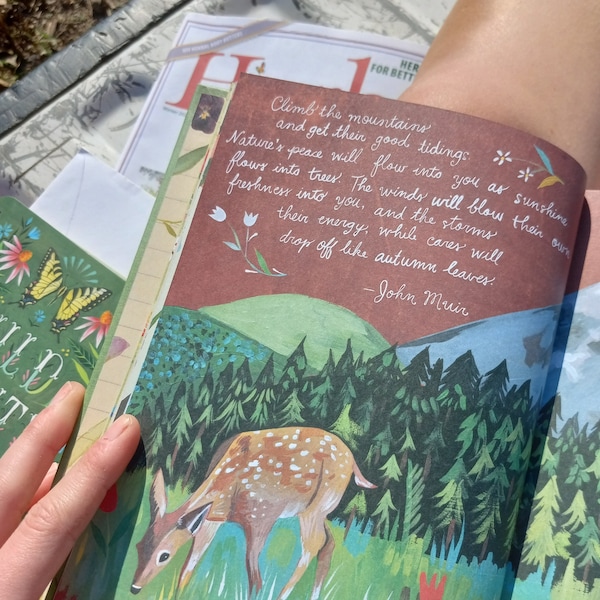 How to Be a Wildflower: A Field Guide by Katie Daisy. *SIGNED BOOK!* - Etsy
