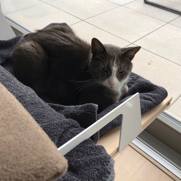 WOOZY | Cat Radiator Hammock / Cat Bed - Etsy