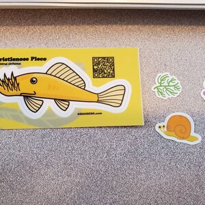 Paper Fish Tank DIY PAPER CRAFT Kids Art Tropical Fish Pet Aquarium ...