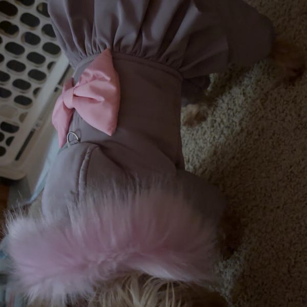 Dog Jumpsuit, Cute Yorkie Girl Outfit, Designer Small Dog Clothes ...