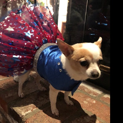Star Spangled Girl Dog Harness Dress Xxsmall to 4xlarge Dog Dress, Dog ...