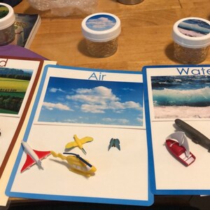 Backyard Birds Safari Toob Montessori 3-part Cards - Etsy