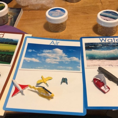 Backyard Birds Safari Toob Montessori 3-part Cards - Etsy