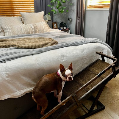 12x56 Adjustable Ramp 2 Side Rails Carpet Traction Bumps Small to ...