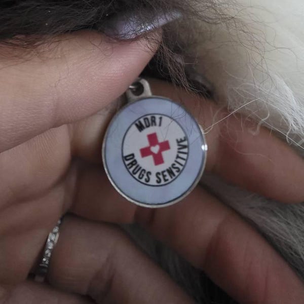 Cavapoo Christmas Ornament – Black & White Cavapoo Personalized Dog ...