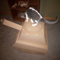 Tank Cardboard Cat House - Etsy