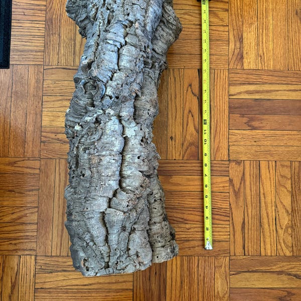 Cork Bark Rounds 2 Lbs Animal Hides in a Terrarium / Vivarium - Etsy