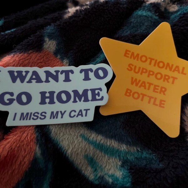 3 Catboy Jerma985 Sticker - Etsy