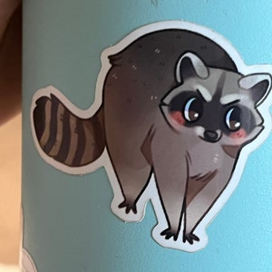 Cute Raccoons Sticker Set - Etsy