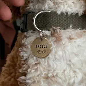 Simple Custom Hand Stamped Dog Tag Dog Tags for Dogs Pet Id - Etsy