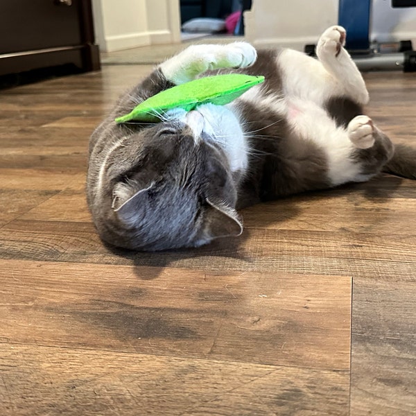 Kuchi Kopi Catnip Toy bobs Burgers - Etsy