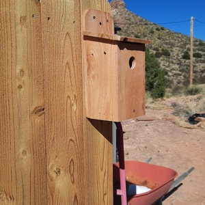 Bee Hive, Top Bar With 30 Top Bars Backyard Bee Keeping Hive - Etsy